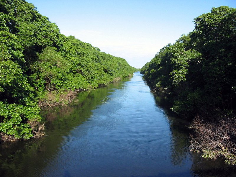 Grupo identificará focos de poluição no Rio Cocó | Brasil 247