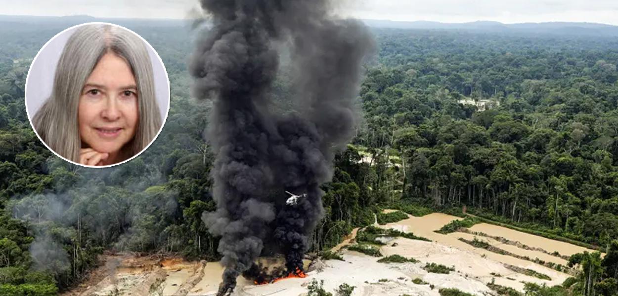 Talvez a civilização tenha sido um erro; capitalismo destrói o planeta ...