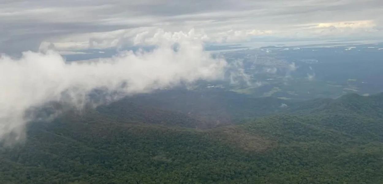 Deforestation in the Atlantic Forest drops 42% in the country in the ...