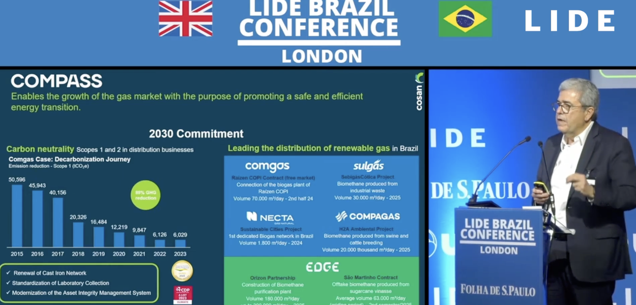 Cana-de-açúcar é o melhor coletor solar que a natureza oferece, diz ...