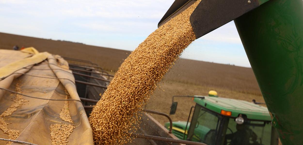 Conab forecasts a 3,7% increase in soybean planting in Brazil in 2025/ ...