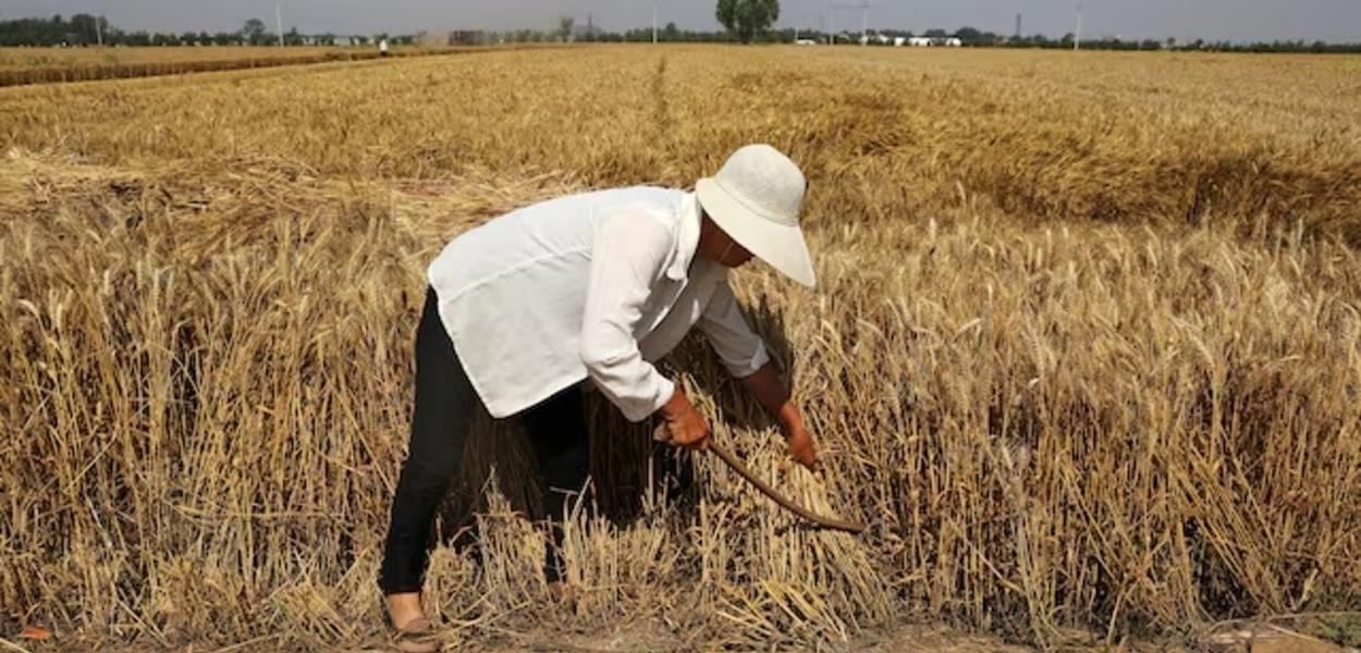 Xiyouji: minha jornada rumo a oeste | Brasil 247
